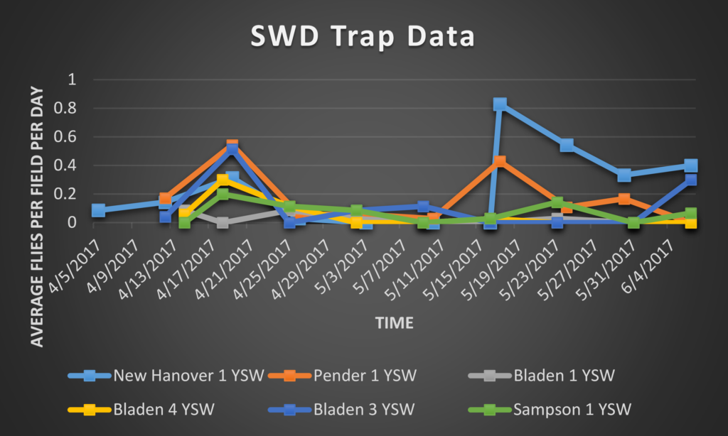 Blueberry insect monitoring report | Morning Ag Clips
